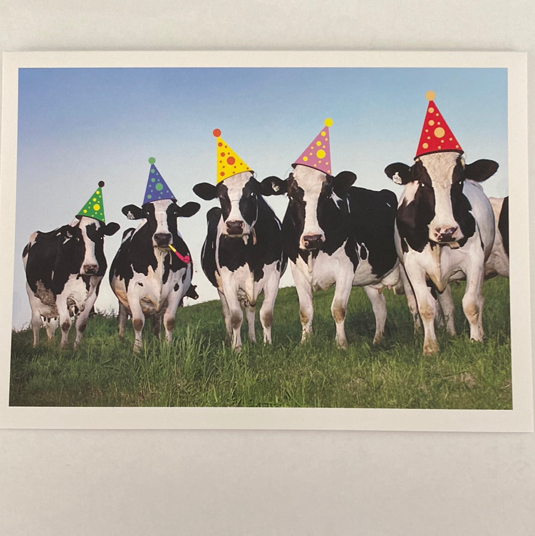 Party Cows – Bethesda Fine Stationery
